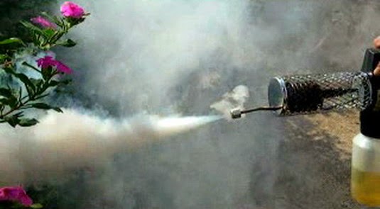 DESINFECCIÓN PROFUNDA Y CONTROL DE PLAGAS: TERMONEBULIZADORES Y ...