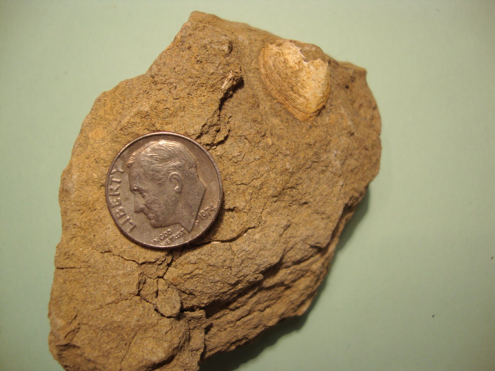 CSMS GEOLOGY POST: THE END: FOX HILLS FORMATION