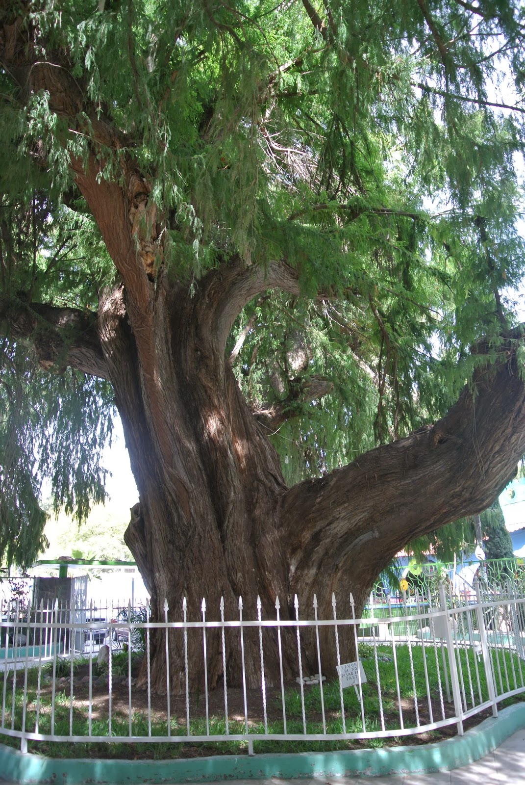 Hablemos Más De Tehuacán : Fotogalería De Tehuacán