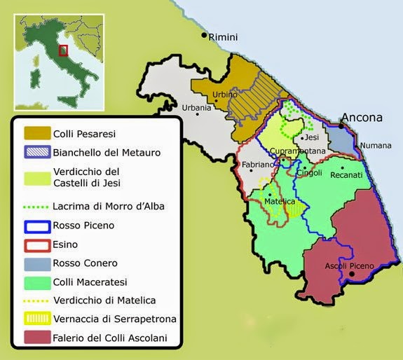 The World of Wine Review: Italy Unit 11 – Le Marche