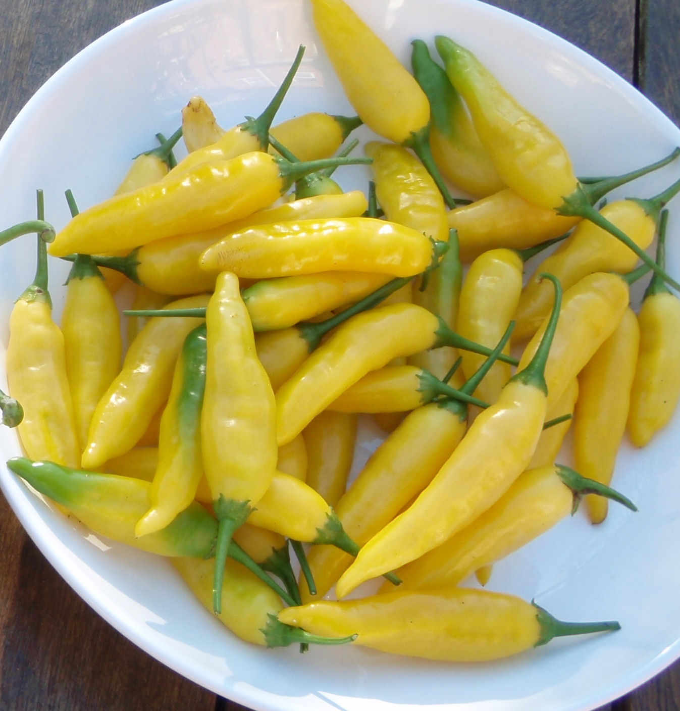 Secret Garden Club: All the way from America