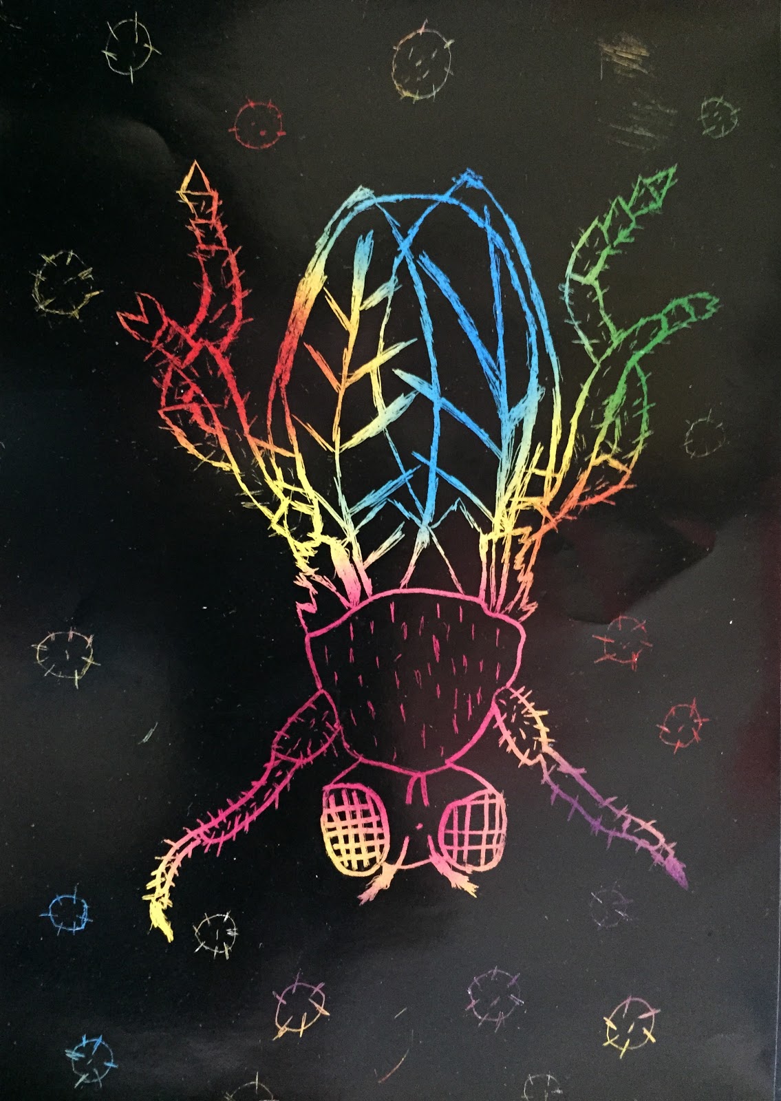Geisler Art Room: Scratch Art Bug Drawings - 7th Grade