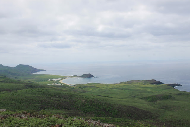 Biodiversidad de "El Bajío Profundo": ISLA CLARIÓN, ARCHIPIELAGO DE ...