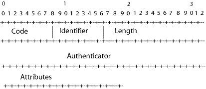 Networking And Scripting : Packet Formats to Remember