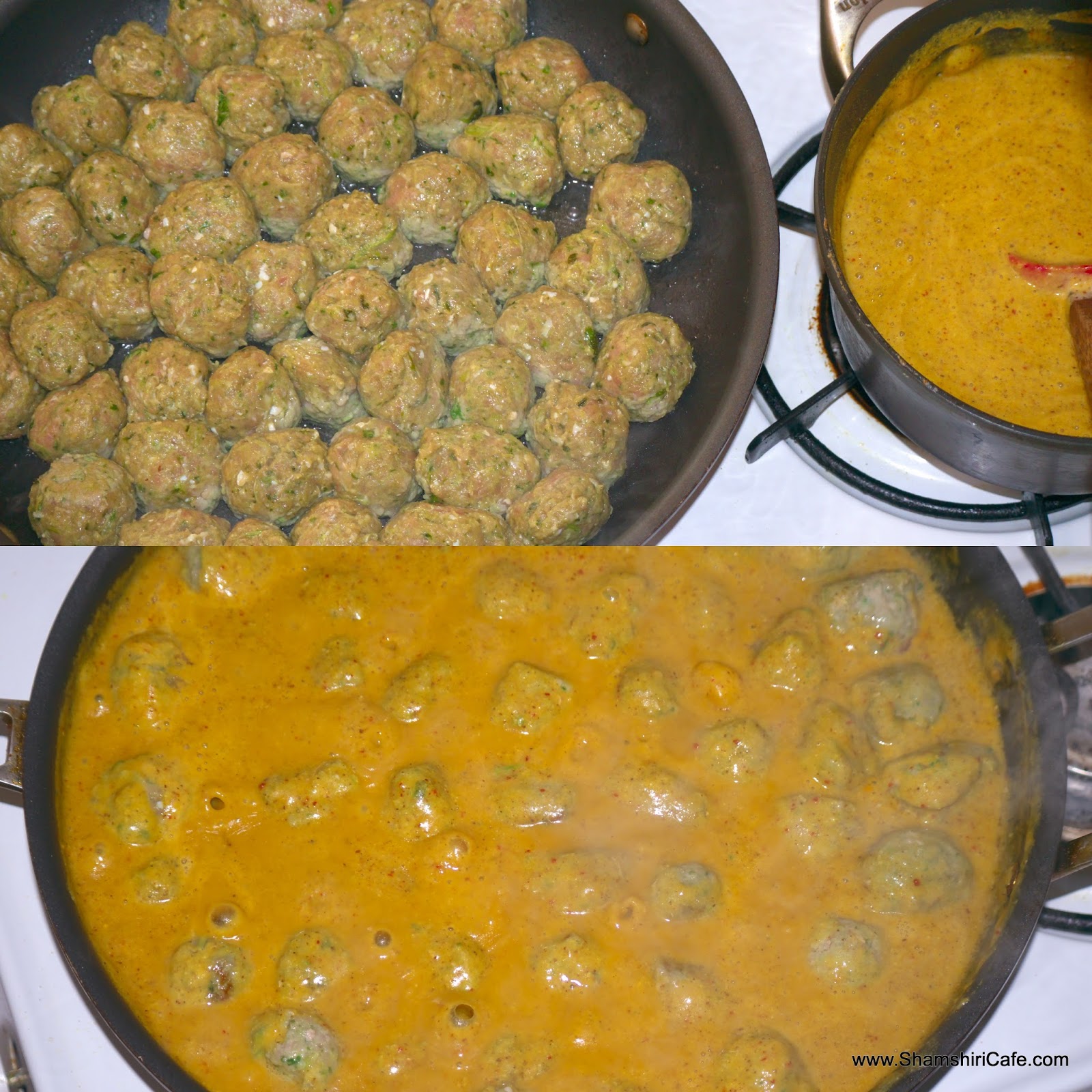 Mango and coconut milk Korma