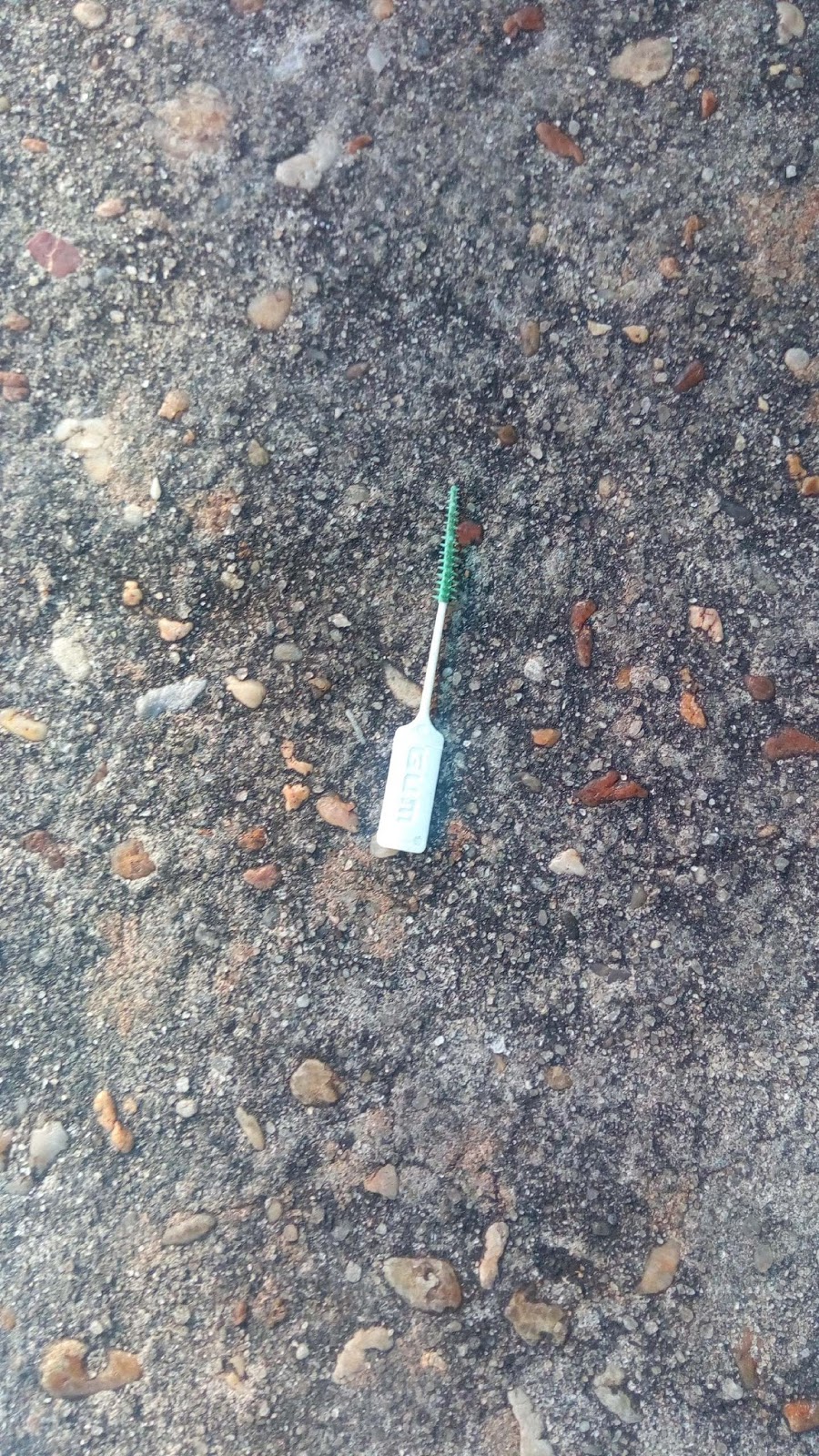 Plackers in the Wild!: Medevial Times Placker