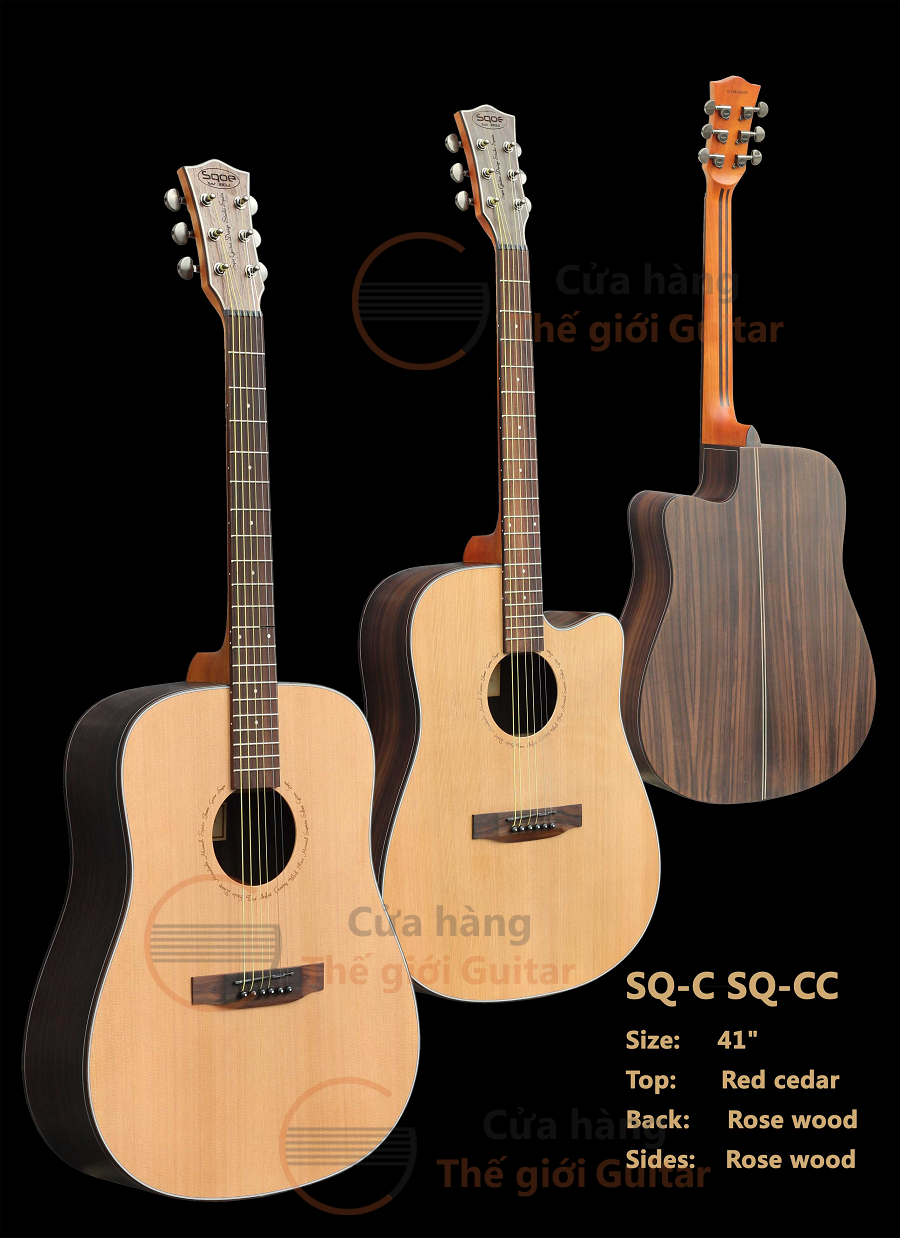 Test: Acoustic SQOE Guitar SQ-CC | 2.300.000