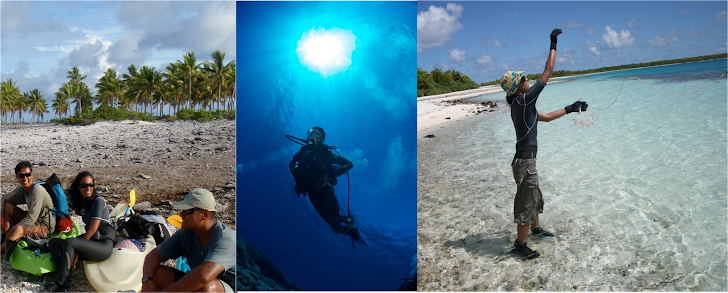 Sarah Lemer, PhD: Genetic diversity and Connectivity of the Black ...