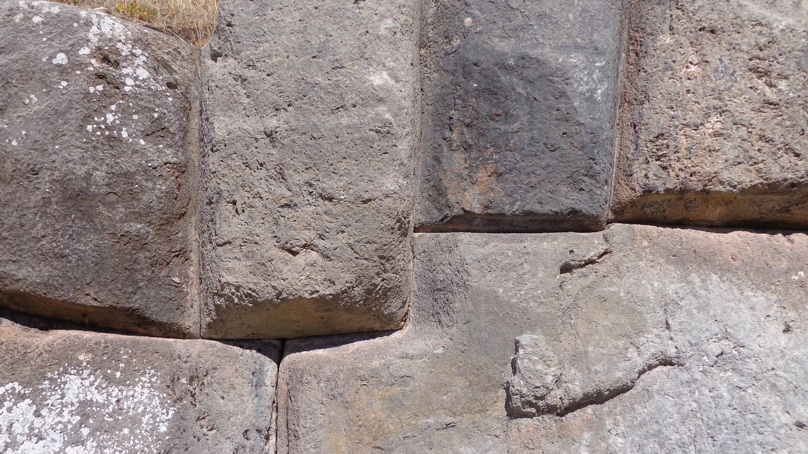 Reforestation and the Medicinal Uses of Trees -Liliana Usvat Research ...