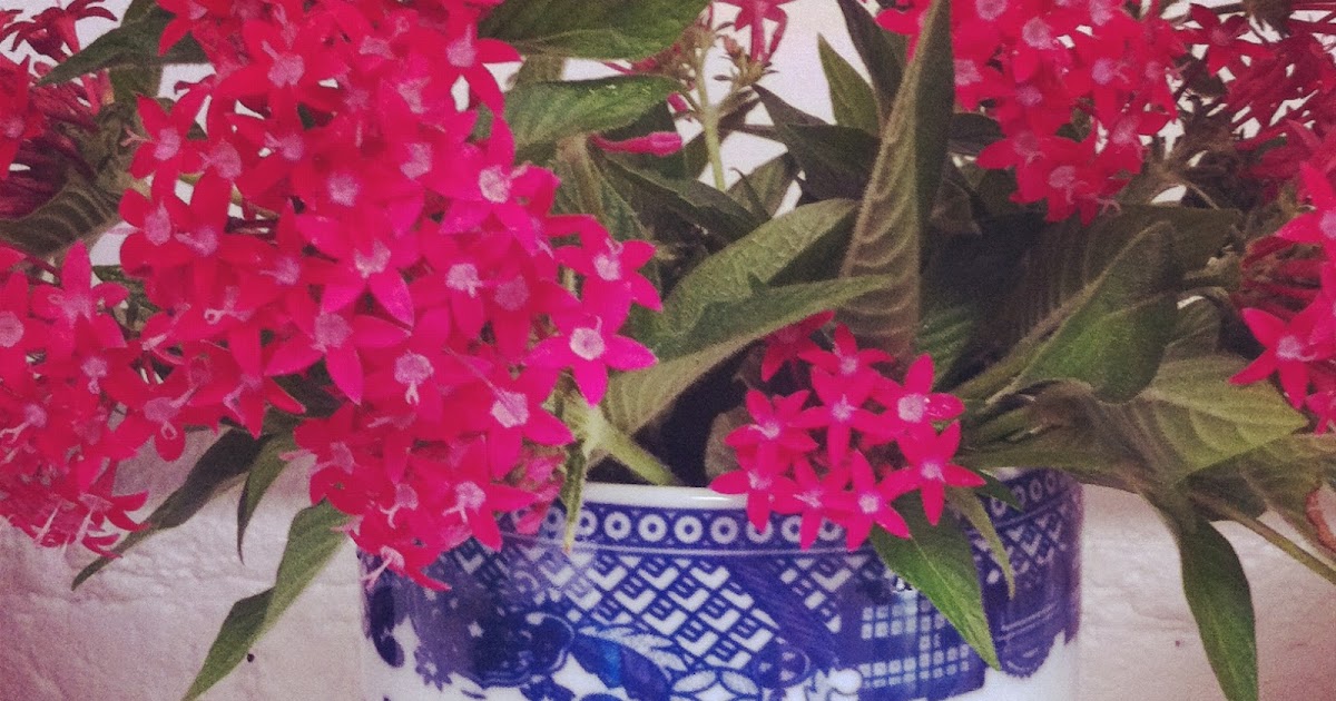 absolutely beautiful things: Random Pretty Things