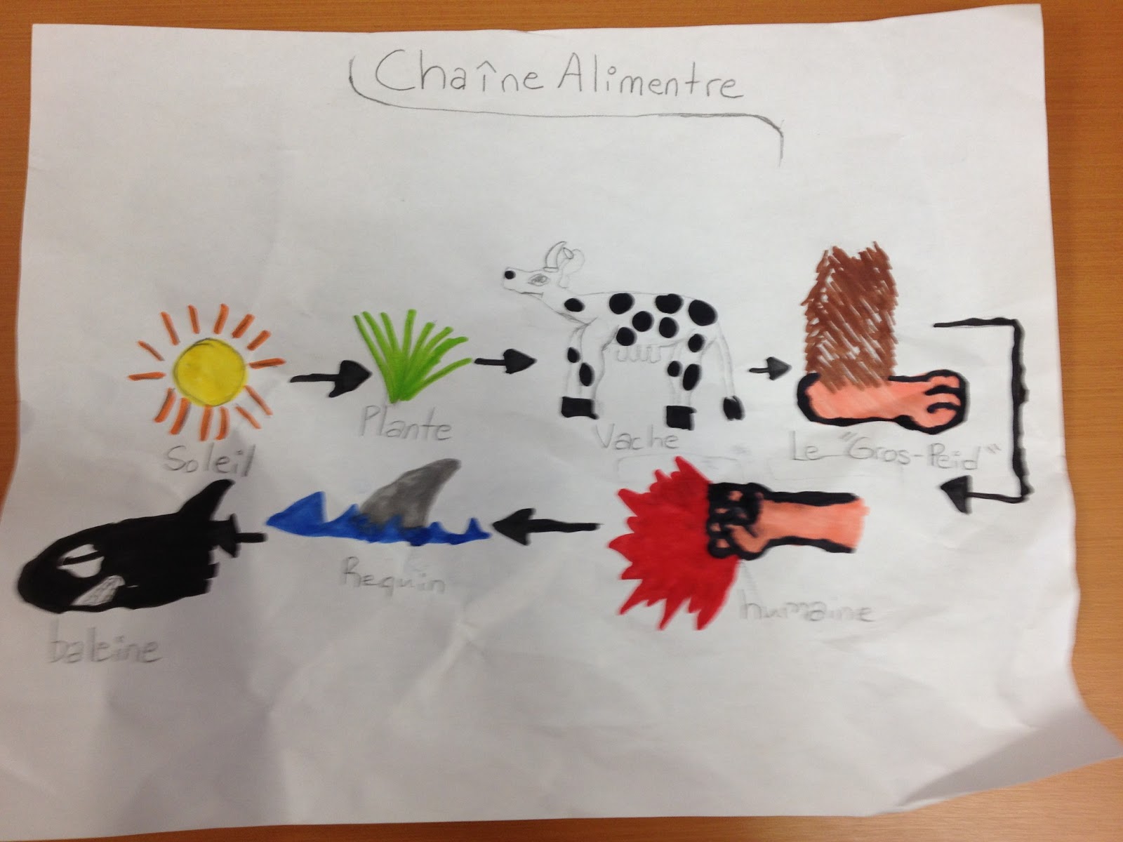 French is Fun: Fun With "les chaînes alimentaires" (food chains)