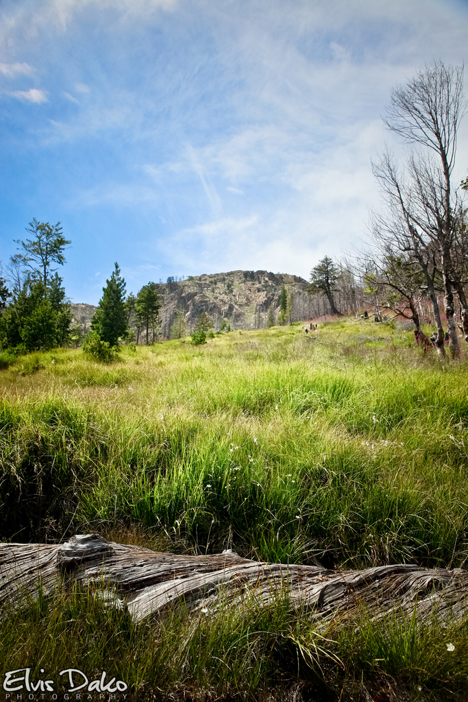 Peisazhe Së Shqipërisë - Shqipëria Express