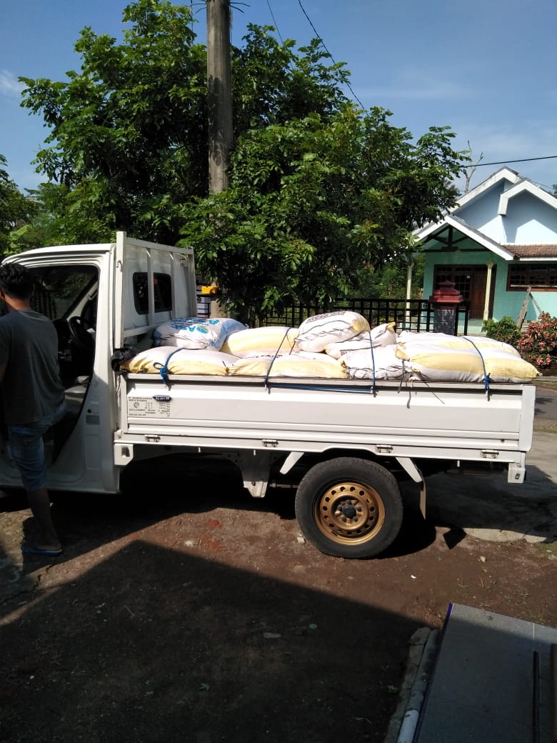 Jual Ampas Jagung untuk Pakan ternak BEJO UTOMO FARM