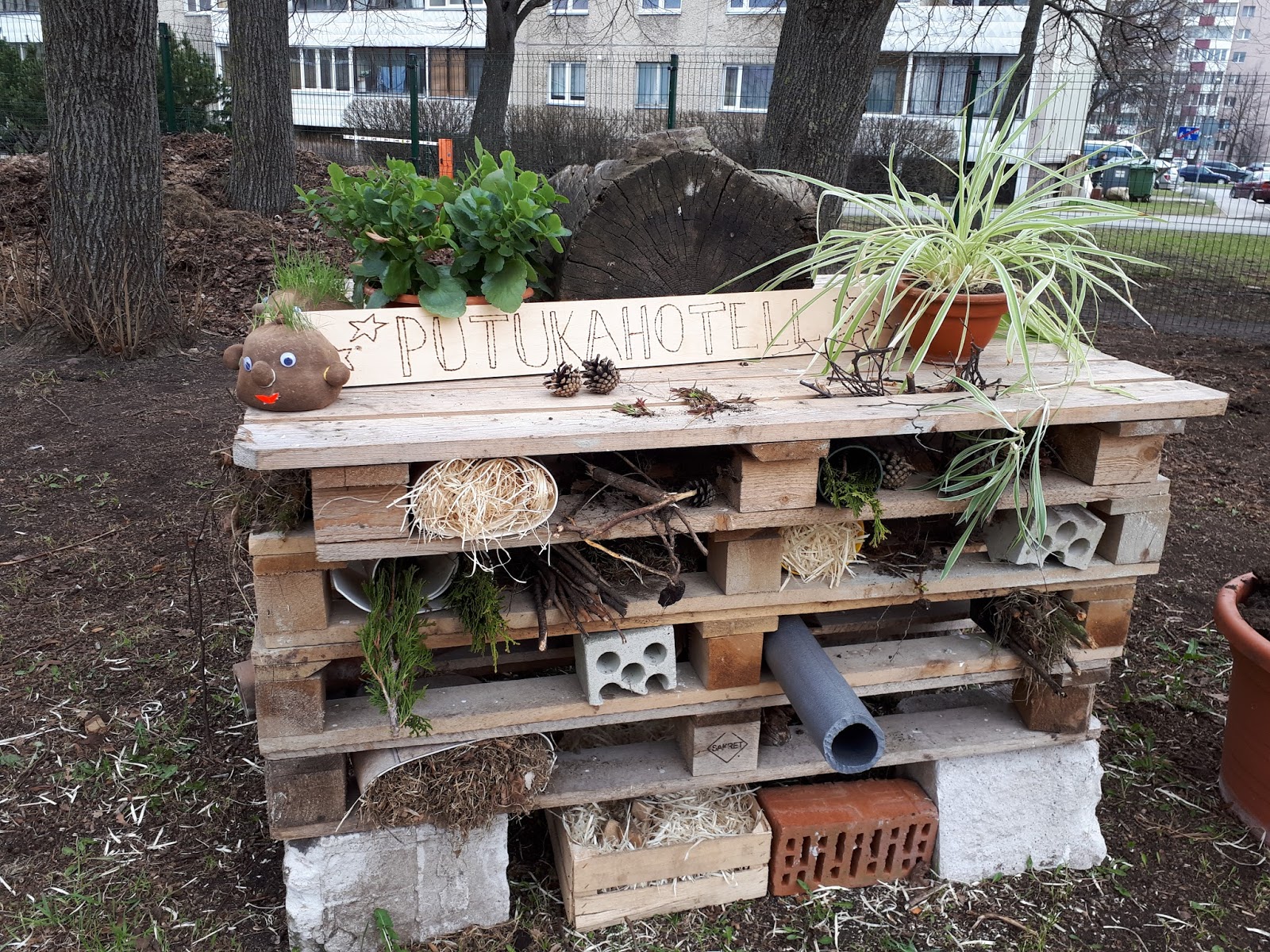 Roheline Kool Eestis Tallinna Tuule Lasteaed: Putukahotell