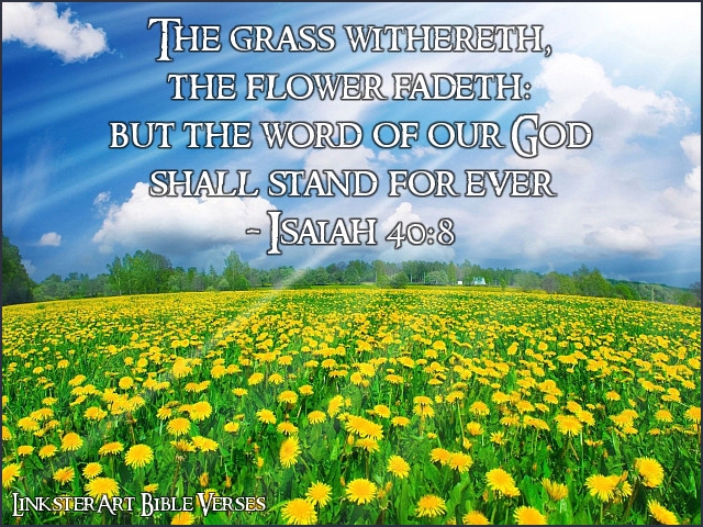 DAILY BIBLE VERSE - AUGUST 5, 2013 | Linkster - Signs of the Times