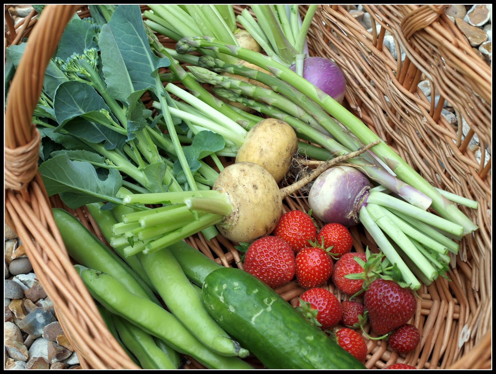 Mark's Veg Plot: Today's harvest