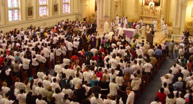 Rediscovering the Journey: Guide to the Catholic Mass