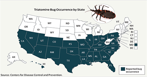 Chagas Disease Symptoms, Causes, and Treatment • TheGep Diseases