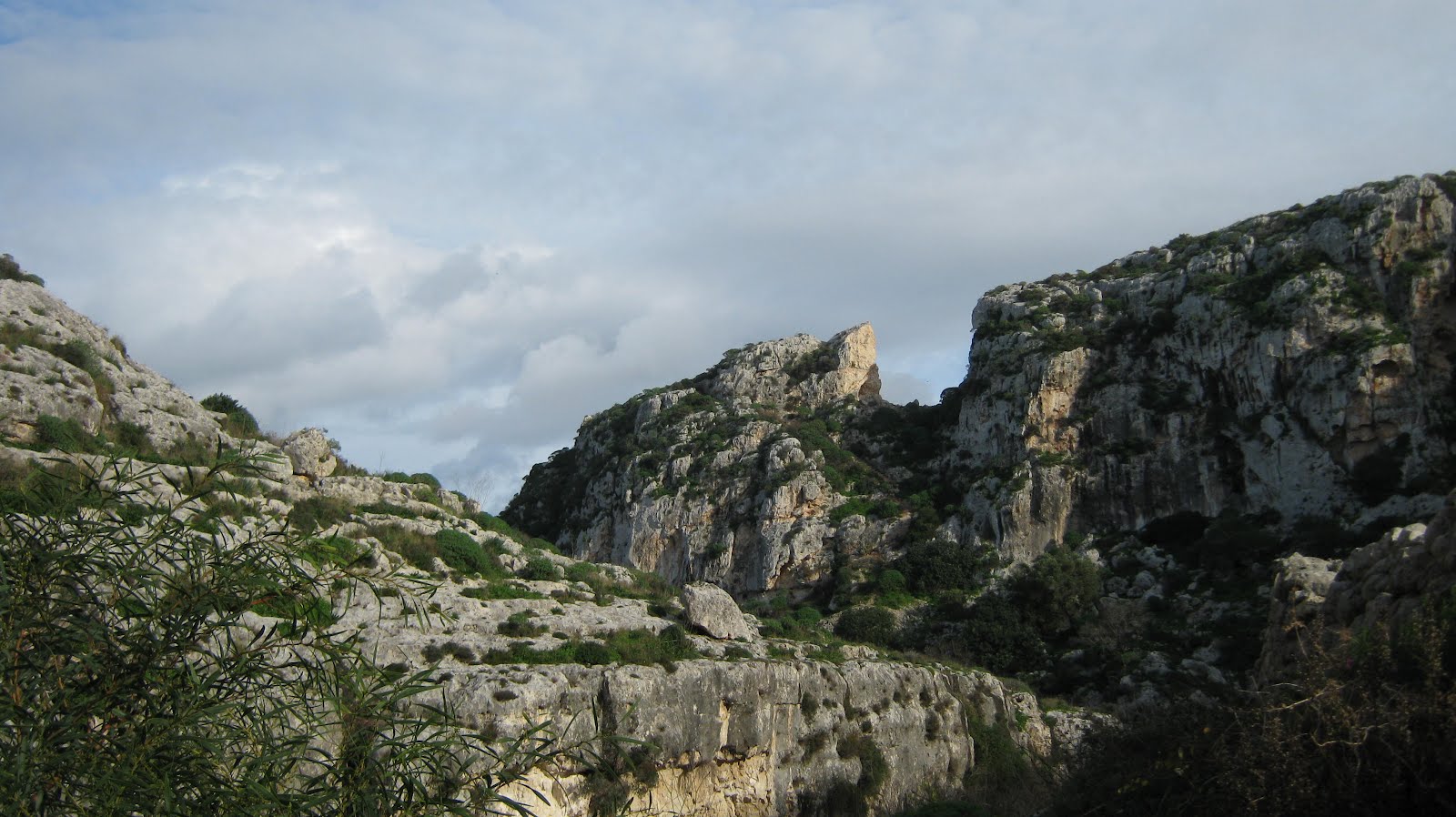 Alex Cassar: Arch1101