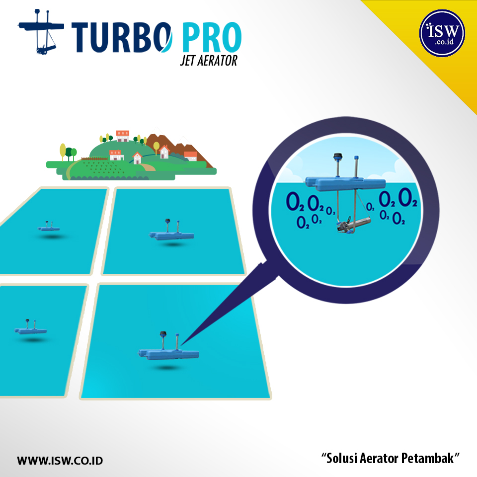 Aerasi dan Oksigen pada Kolam Budidaya: Kebutuhan Oksigen pada Tambak Ikan
