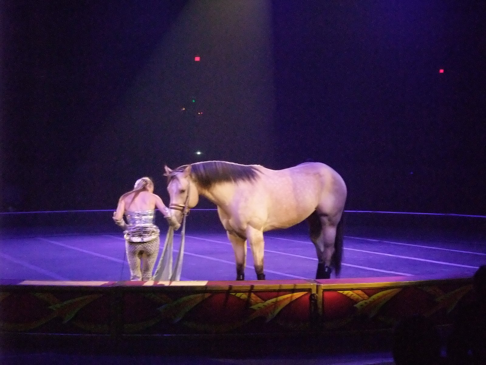 THIS IS NOT A BUSTLEPIPE: rING Ling bROs. $ BarNUm & BaiLey CIRcuS