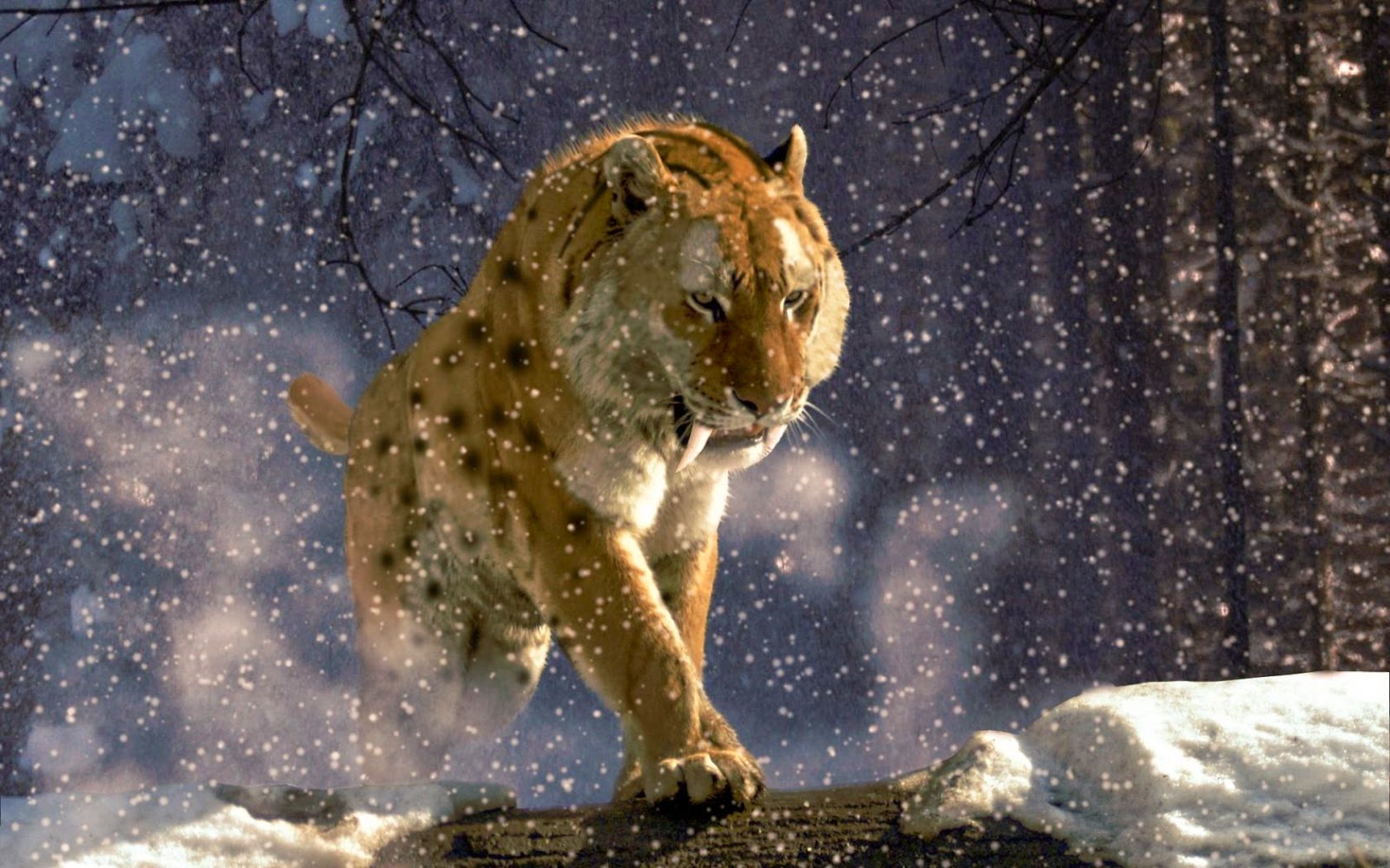 TIGRE DIENTES DE SABLE VS HOMBRE. | Los origenes del hombre