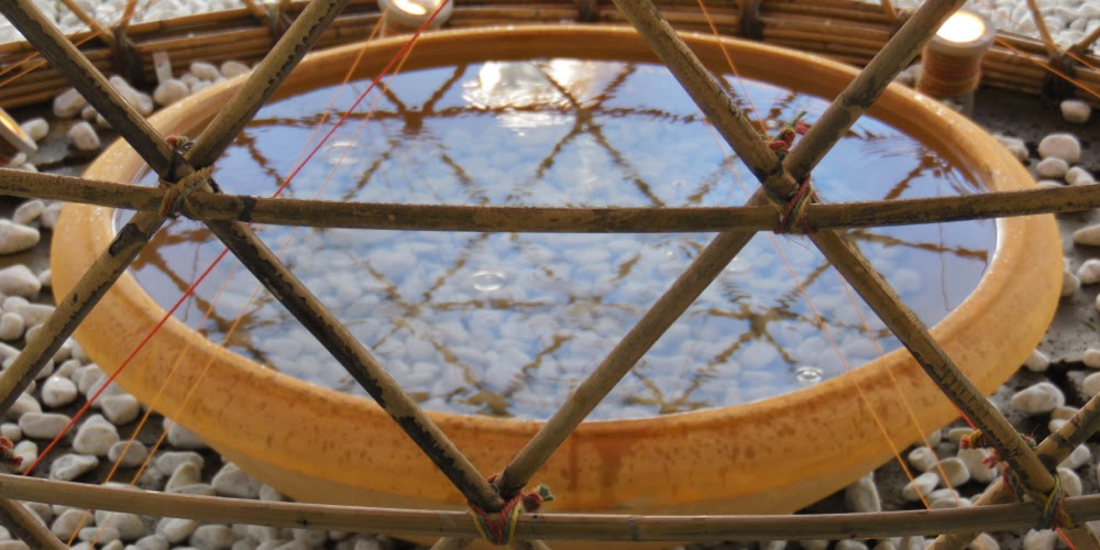 Reforestation and the Medicinal Uses of Trees -Liliana Usvat Research ...