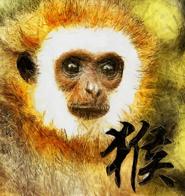 Photographis: February 2016