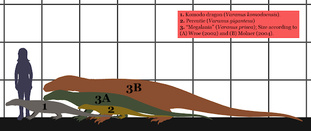 Surviving Megalania - Monster Lizards in Australia?