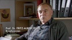 Energias: Fritz Albert Popp e a Comunicação Celular por meio de fótons ...