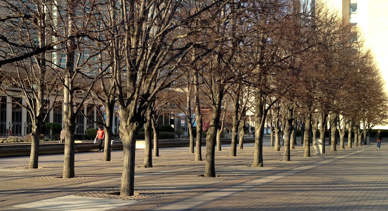 French Vocabulary Illustrated: quinconce