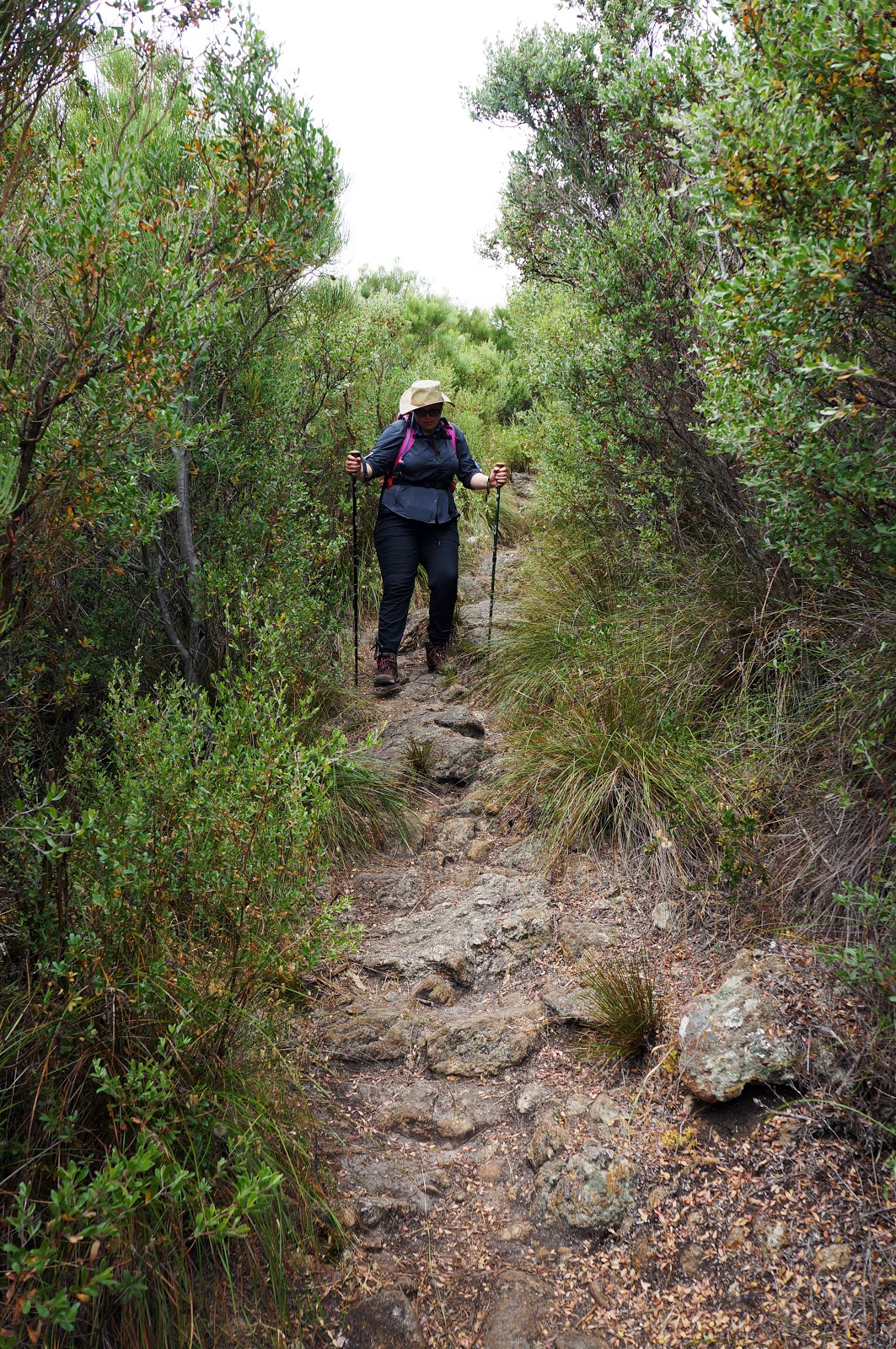 Point Possession Heritage Trail (Quaranup) ~ The Long Way's Better