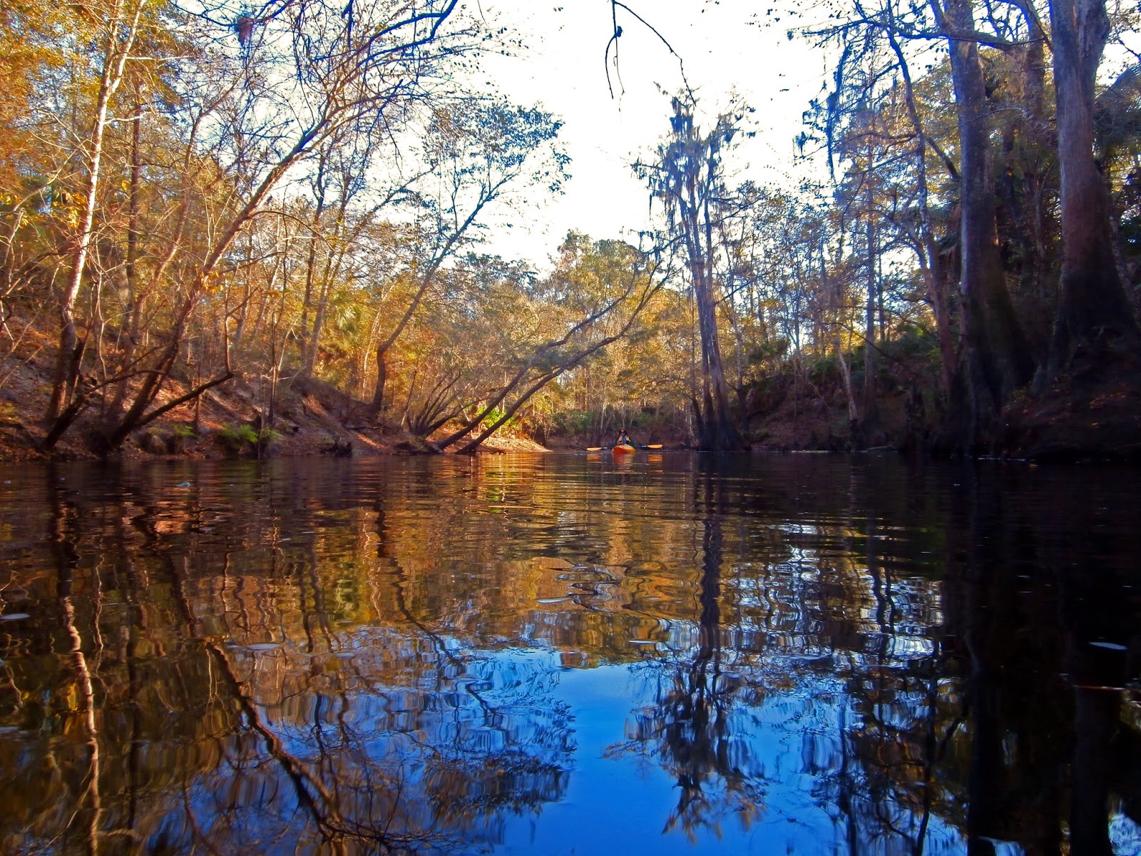 Outdoor South: The Aucilla River