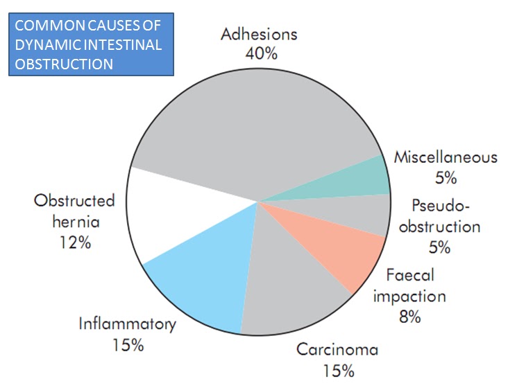 Oktahermoniza Blog's: Obstruksi intestinal