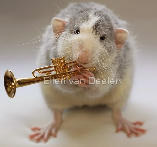 Design Stack: A Blog about Art, Design and Architecture: Musical Rats