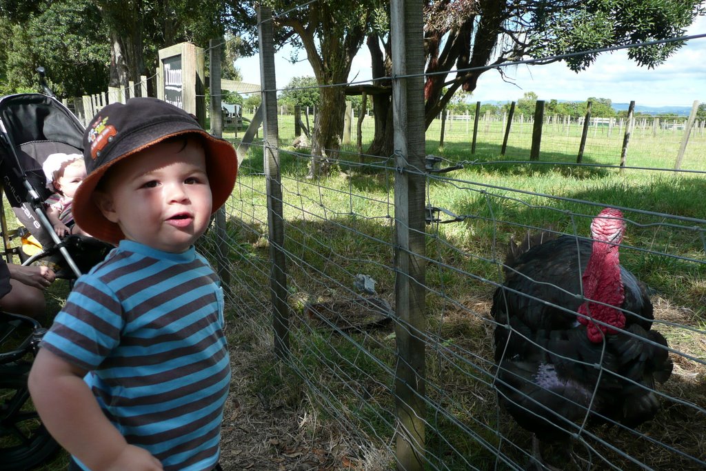 WM: Ambury Farm Park Visit