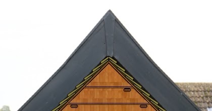 Action for Swifts: Triangular colony boxes