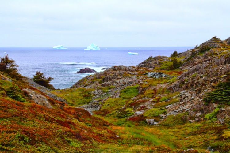 20/20: G. Tod Slone Eye on Newfoundland and Labrador: Icebergs (Keels)