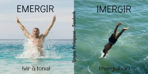 O MUNDO NA LEITURA: Eminente X Iminente / Emergir X Imergir