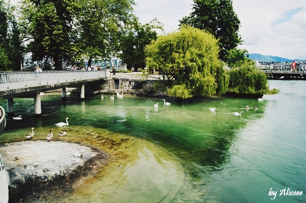 Ghid practic, impresii si informatii despre Geneva - CIRCUITUL ELVETIEI ...