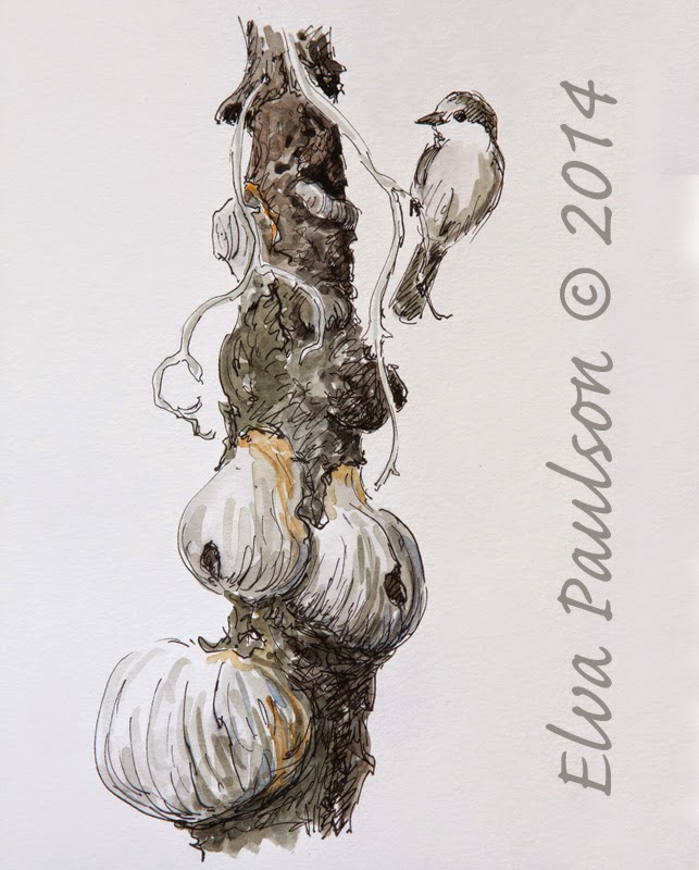 Sketching in Nature: Sketching Burls