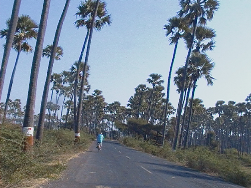 Gujarat Tourist Places Khambhat and Dakor ~ All About Gujarat Places ...