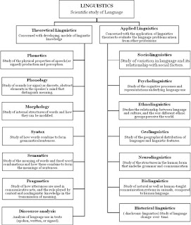 Branches of Linguistics ~ Do Su Ko