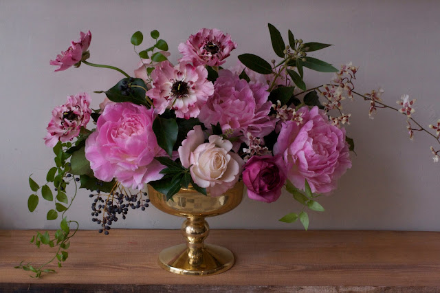 ARIEL DEARIE FLOWERS: Reign of the Japanese Ranunculus