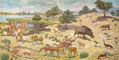 In the Company of Plants and Rocks: Northwest Nebraska during Peak Mammal