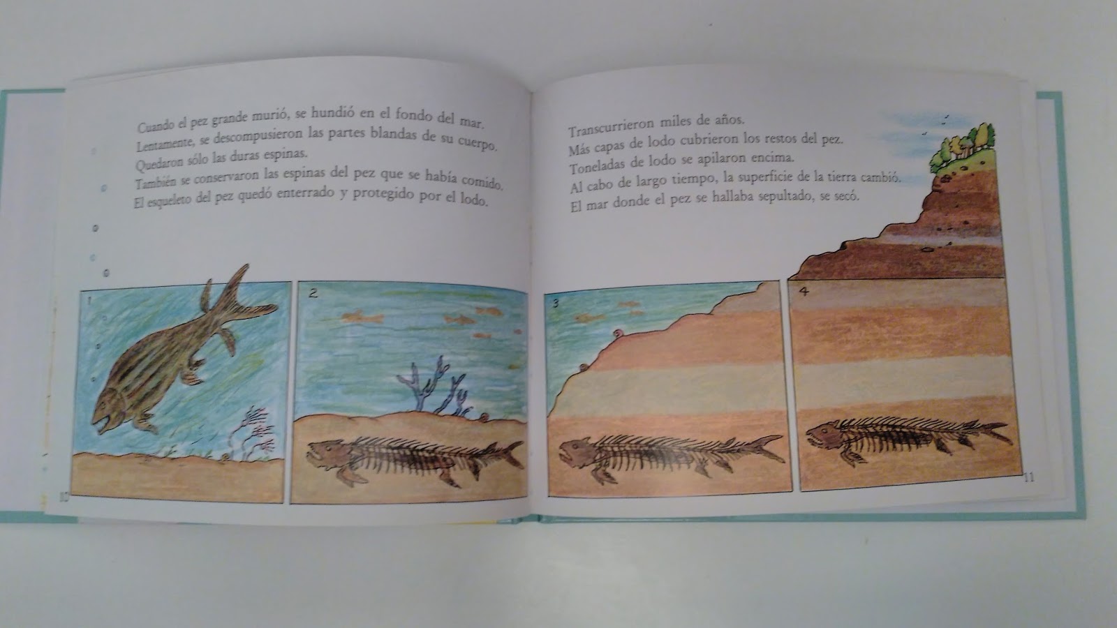 "Fósiles"... Libro y propuesta de actividad