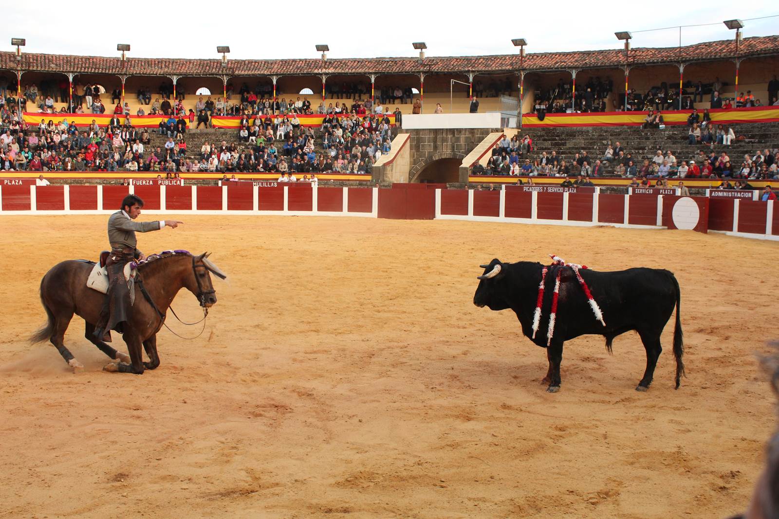 Resumen fotográfico de la Corrida de Rejones - Toros en Extremadura