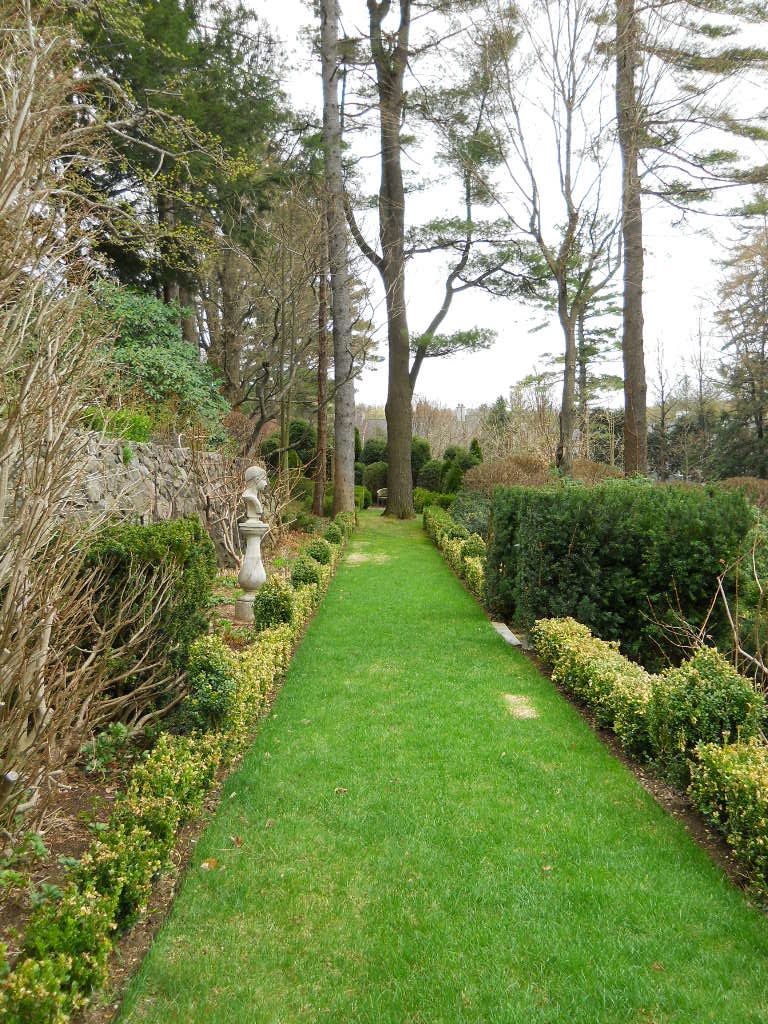 Anemone Times: Stan Fry's Garden