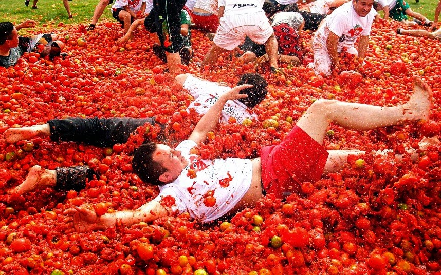 The Flying Tortoise: La Tomatina. What Fun You Can Have With One ...