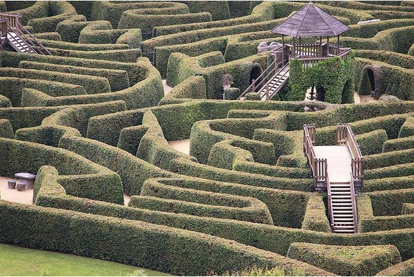 Psichologas padės: Pakilk virš problemos ir rasi sprendimą